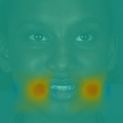 Facial-Action-Detection